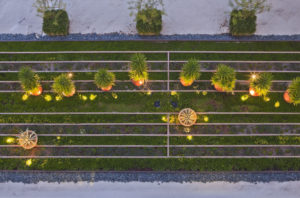 Sharp Memorial Hospital Green Roof « Schmidt Design Group